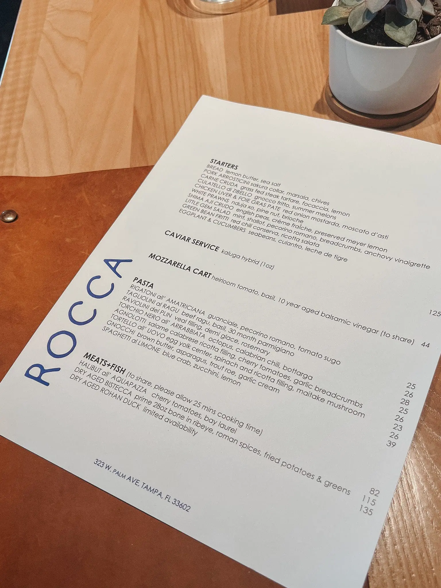 Rocca Tampa: Michelin Star Italian Dining - Cats & Coffee - Tampa