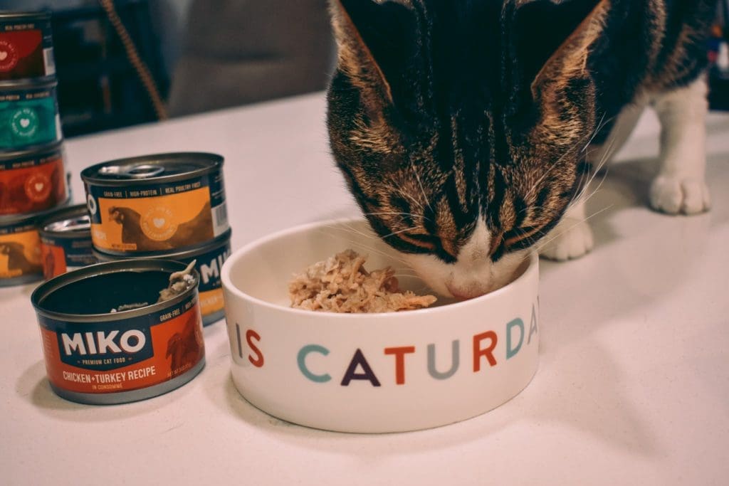 Cat Mom Life: Spotlight on Miko’s Whole Ingredient Cat Food - Cats & Coffee