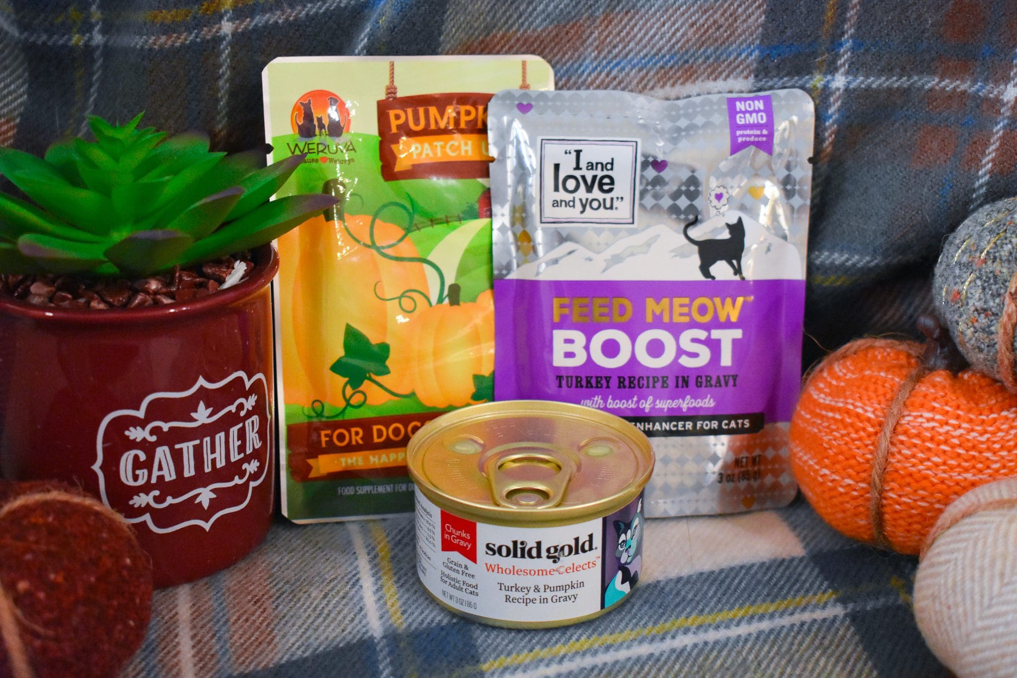 A Very Catty Thanksgiving: Celebrate Thanksgiving with Your Cat - Cats ...