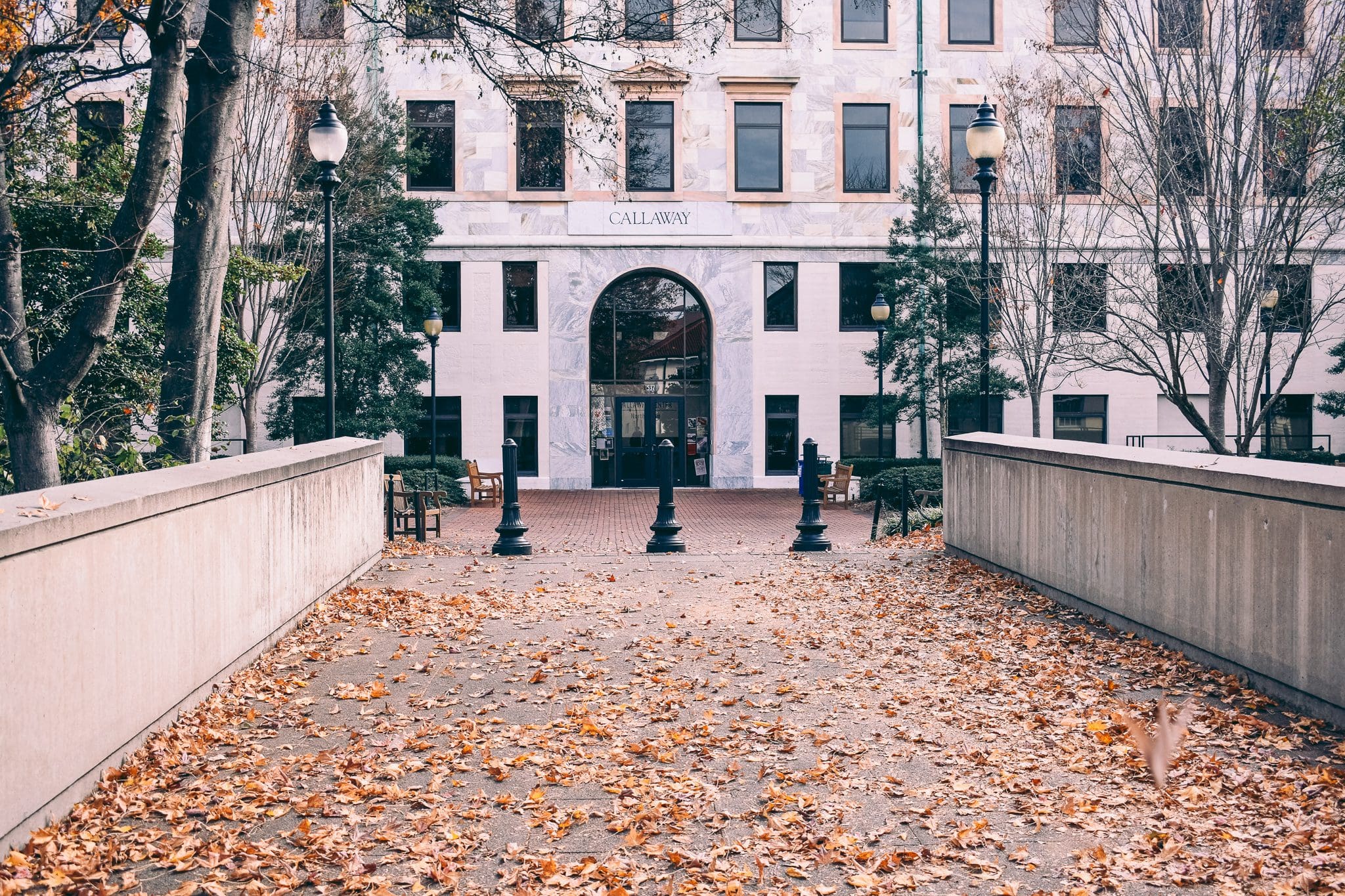 Exploring Emory University - Cats & Coffee - Travel