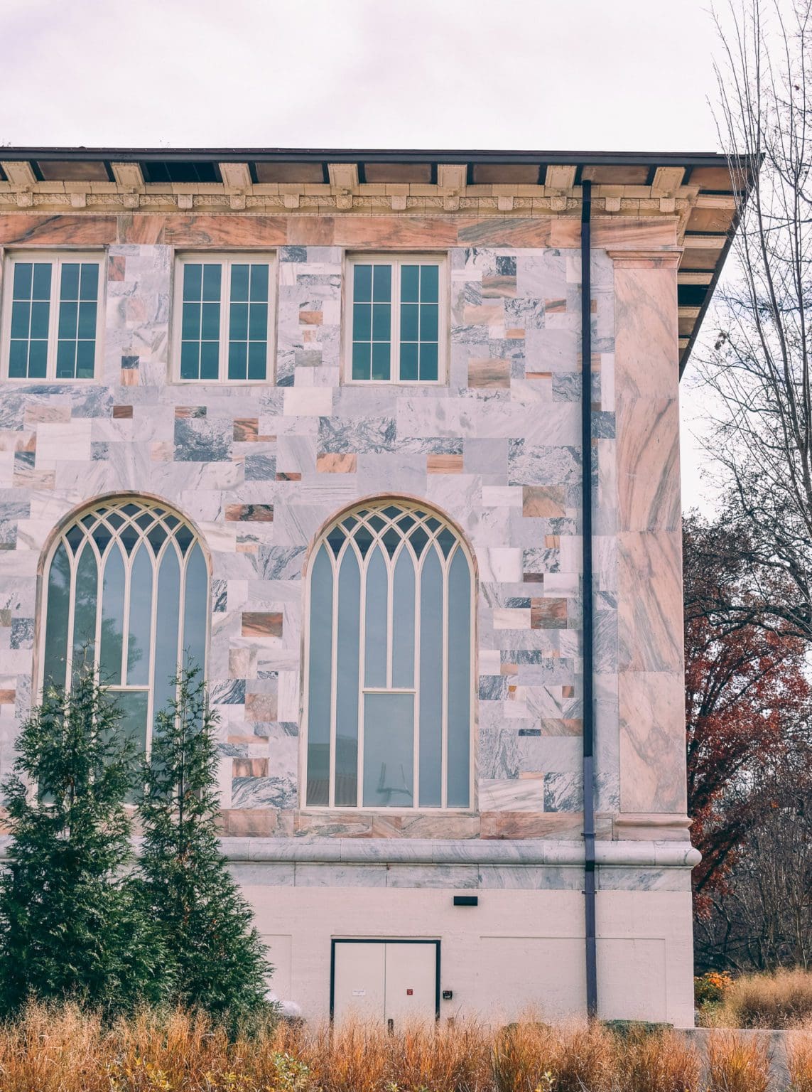 Exploring Emory University - Cats & Coffee - Travel