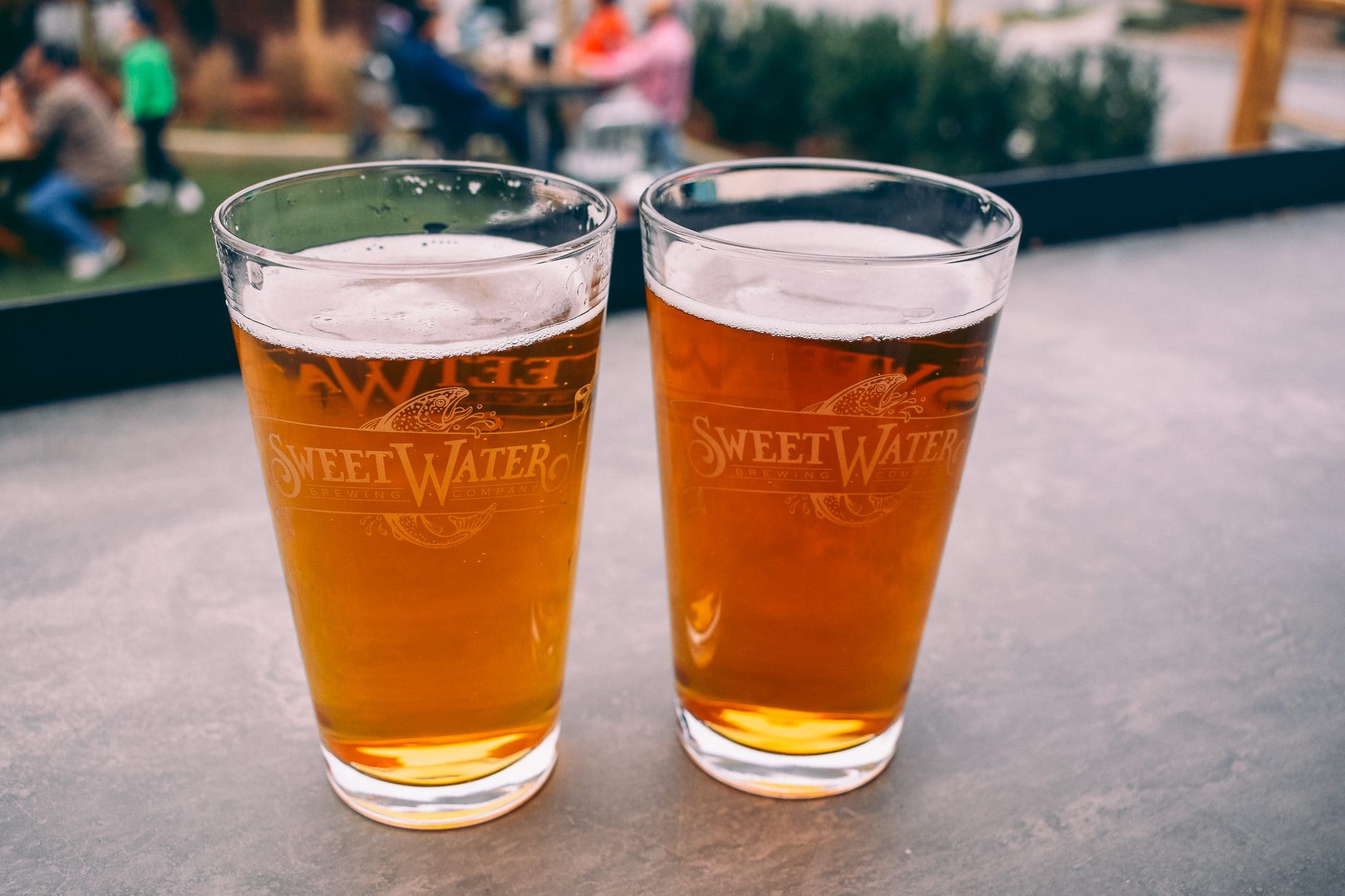 Sweet Water Brewery in Atlanta, Georgia - Cats & Coffee - Food and Drink