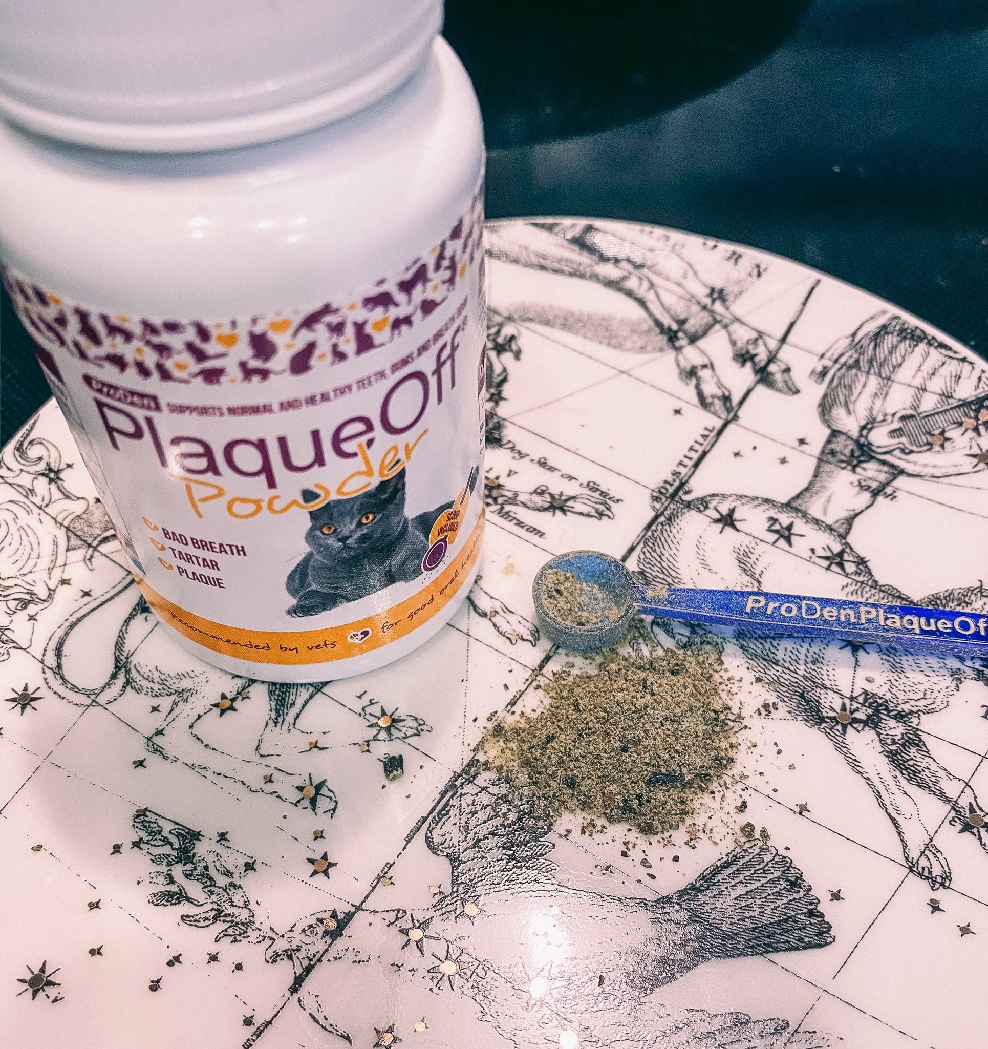ProDen PlaqueOff Powder Review - Cat Mom Life Pet Health