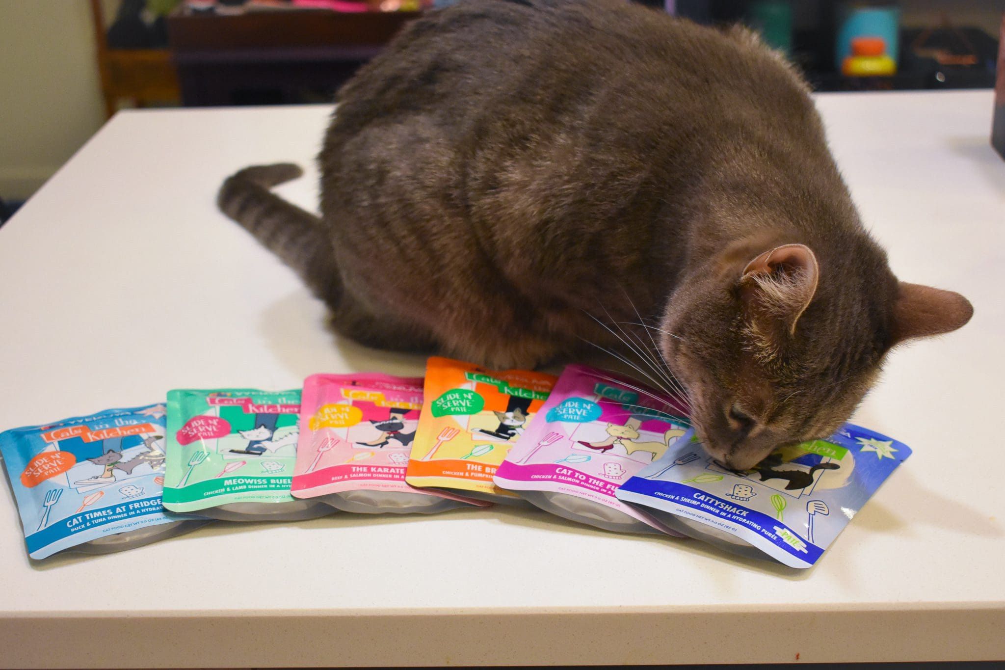 How to Use the Chewy Autoship Program - Cats & Coffee - Cat Mom Life