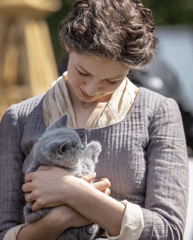 Outlander's Newest Star, Adso - Pet Cat Stars in Outlander