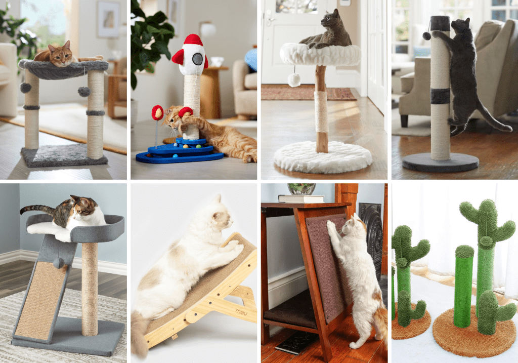 The Best Cat Scratchers - Cat Mom Life Product Review