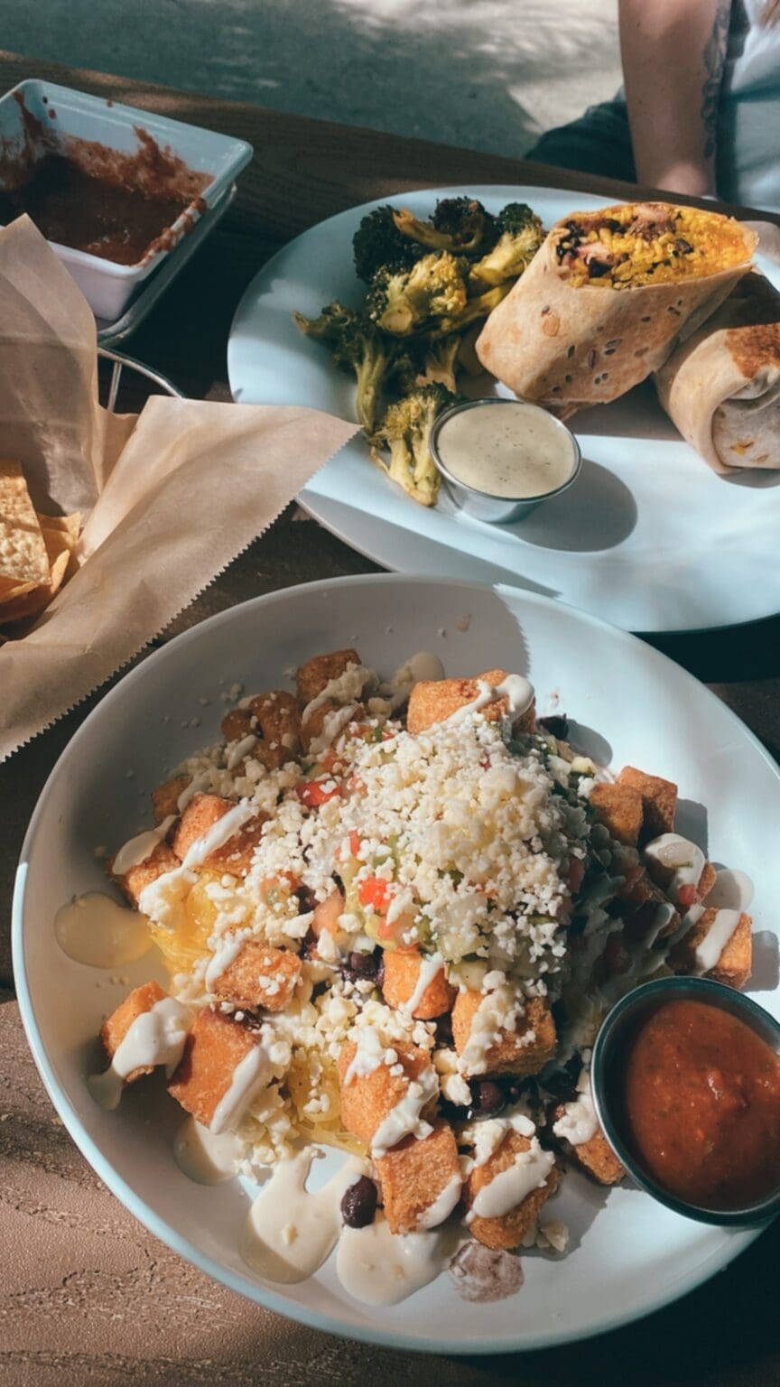 The Best Restaurants in South Tampa - Top South Tampa Restaurants