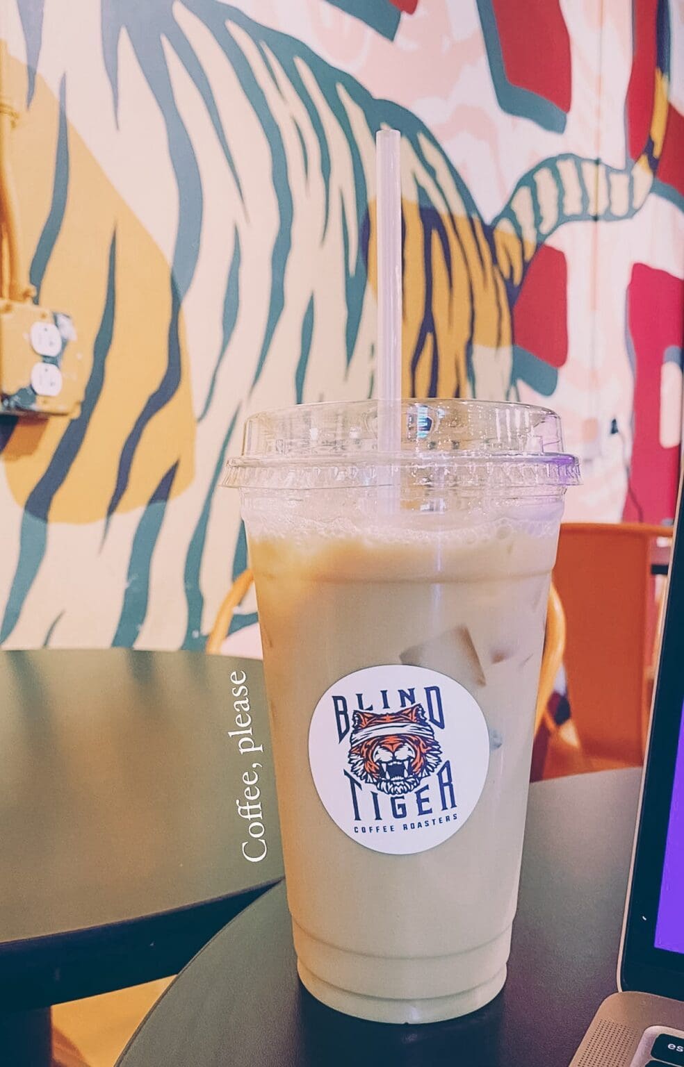 The Best Tampa Coffee Shops - Cats & Coffee Tampa Guide