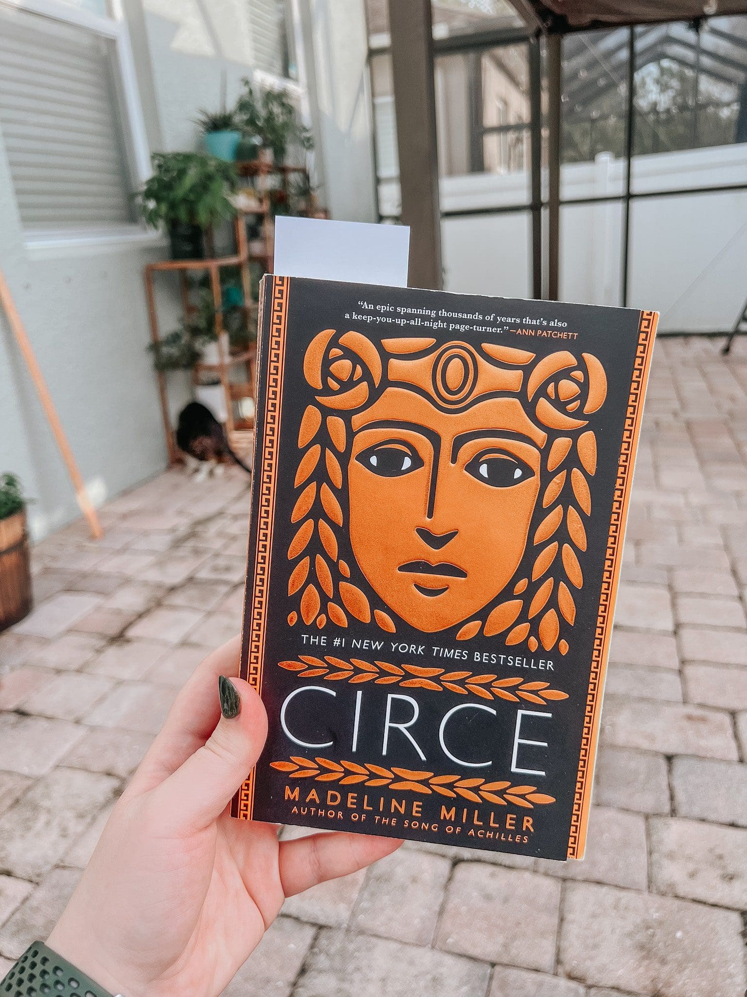 Everything I Read This Month: February 2023 - Cats & Coffee - Book Reviews