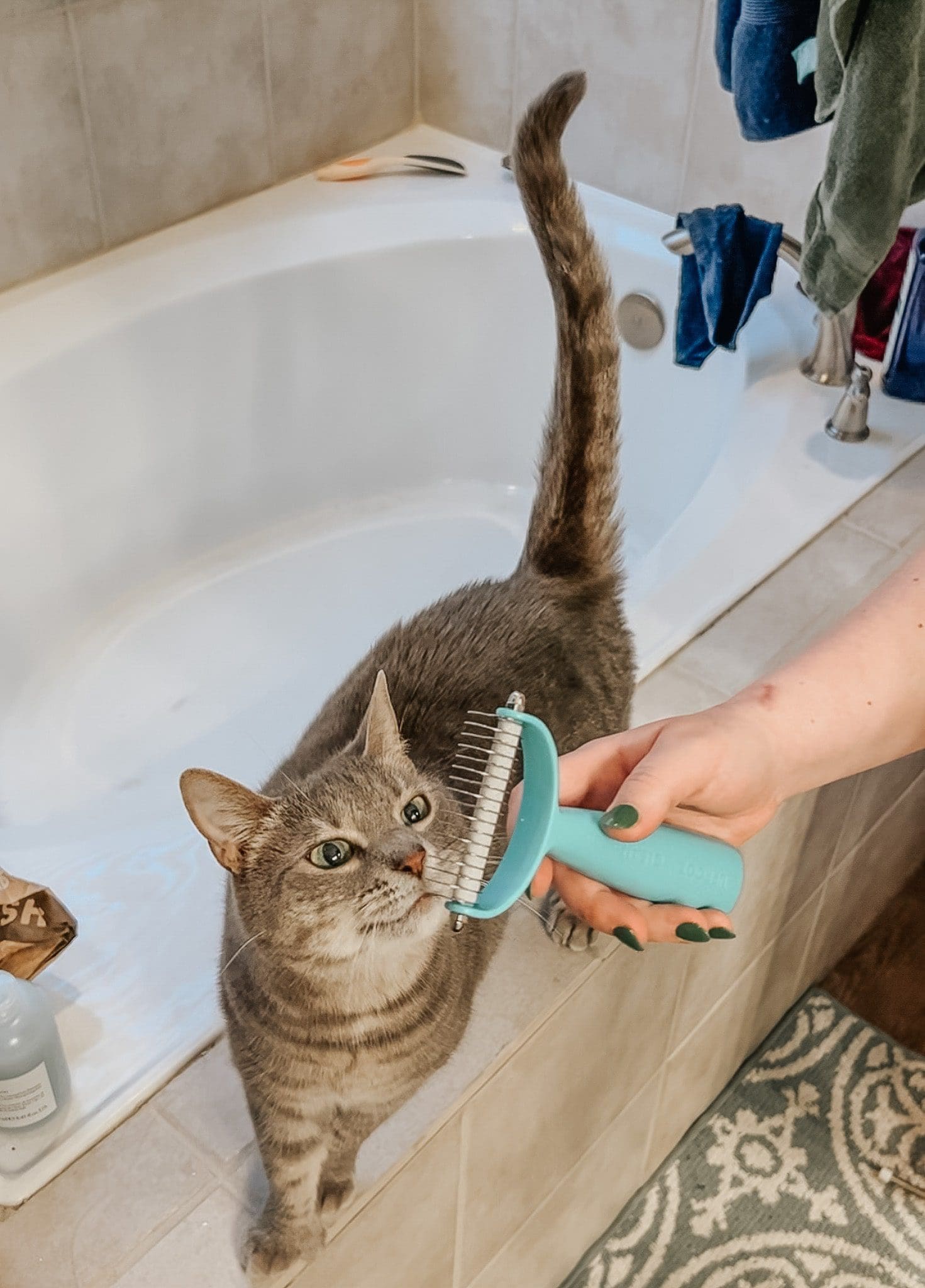 The Uproot Clean Deshedder - Cats & Coffee - Cat Mom Life