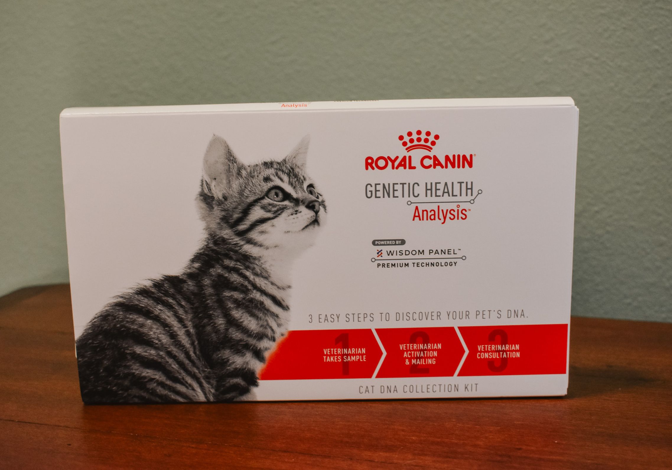Testing Out Royal Canin’s Genetic Health Analysis Kit for Cats ...